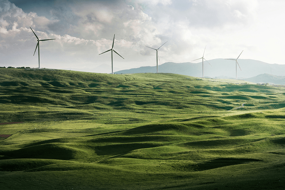 Ask the expert: top tips from our sustainability guru Ask the expert: top tips from our sustainability guru
